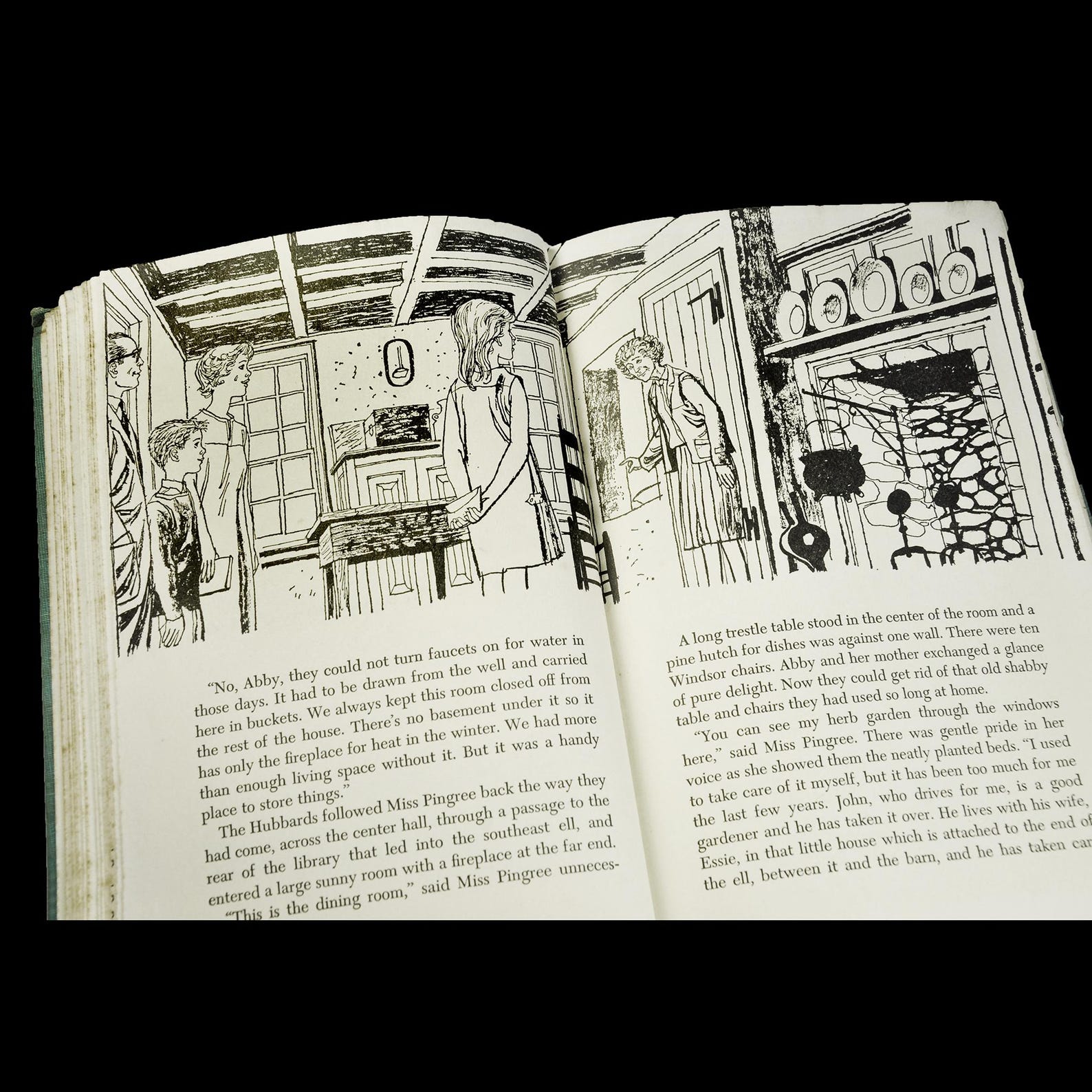 Mystery of the Pirate’s Ghost by Elizabeth Honness – Illustrated by ...