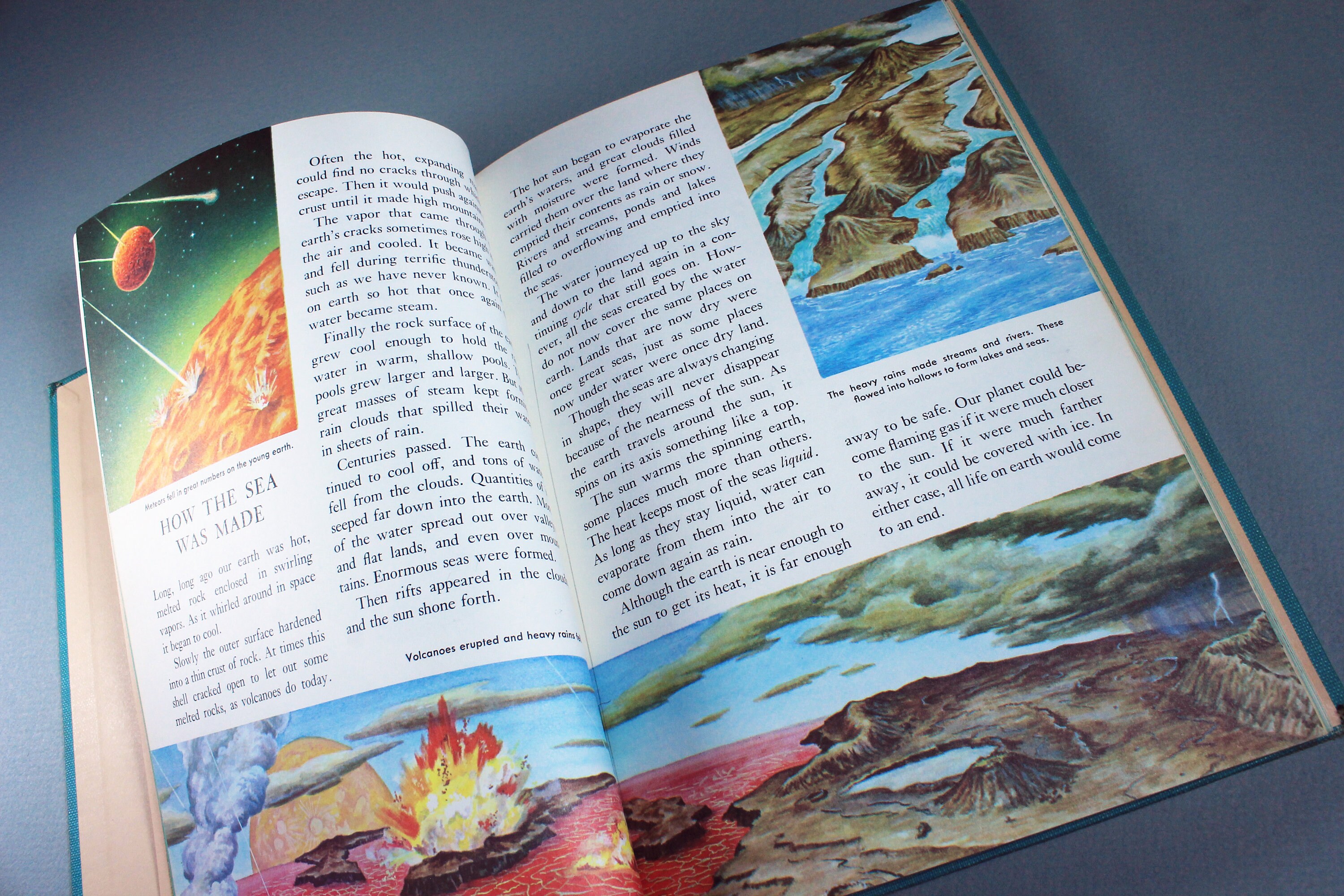 1959 Children's Hardcover Book, The Sea and The Shore, Golden Picture ...