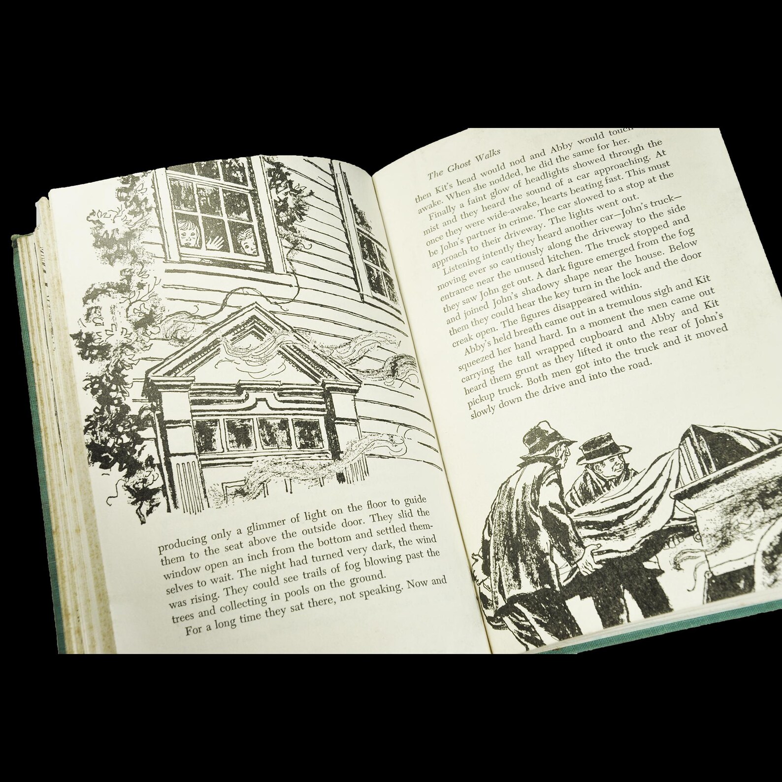 Mystery of the Pirate’s Ghost by Elizabeth Honness – Illustrated by ...