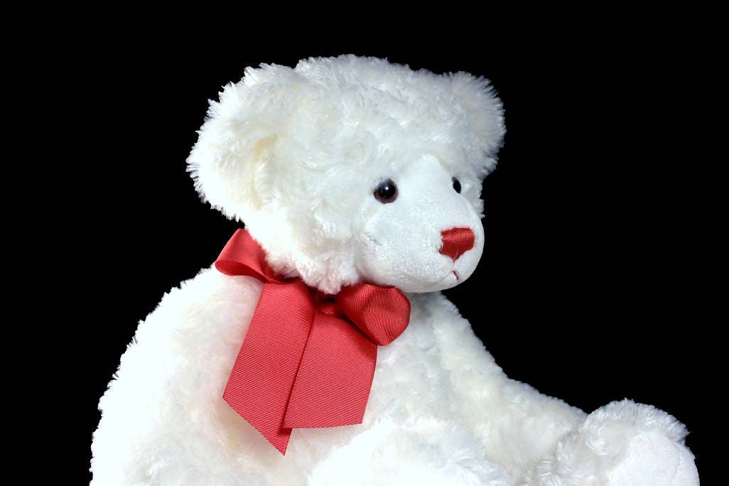 Stuffed Animal, Teddy Bear, Gund, White, Fluffy, Soft, Sitting Bear