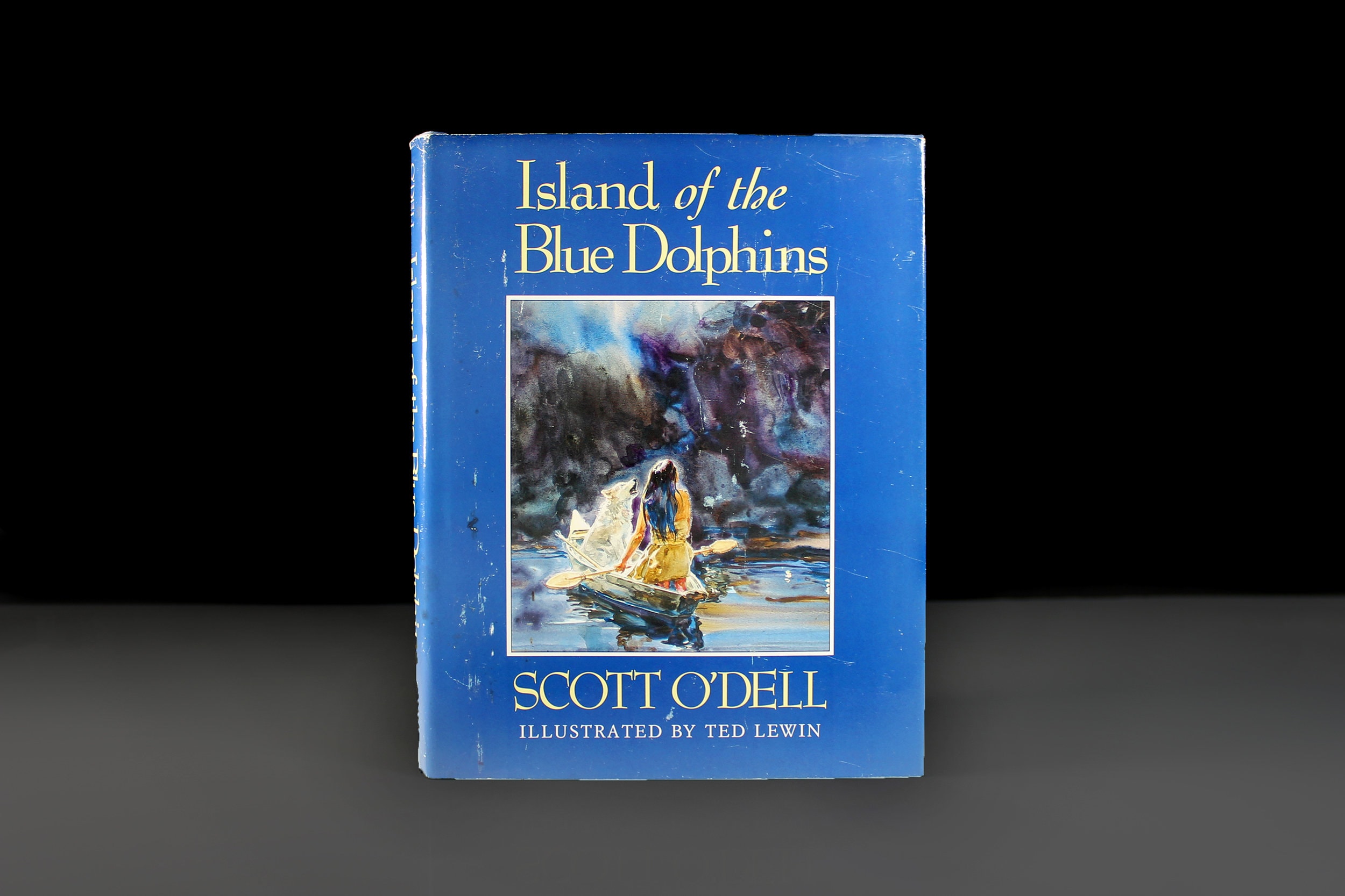 Children's Hardcover Book, Island of the Blue Dolphins, Scott O'Dell ...