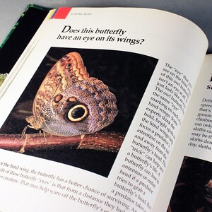 Children's Hardcover Book, Amazing Animals, Reference Book, Question ...