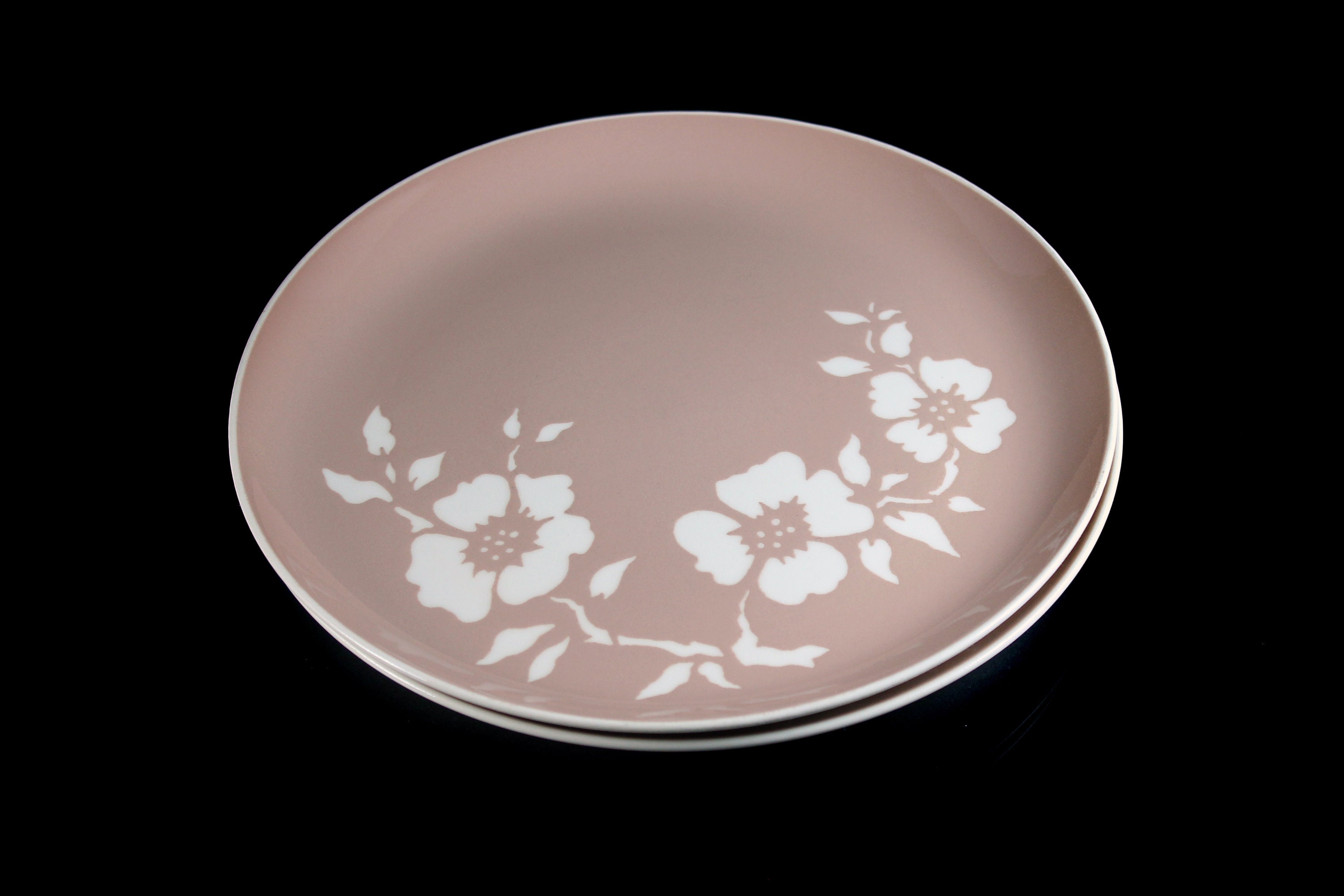 Dinner Plates, Harkerware, Dogwood Tan, Dinnerware, Set of 2, Serving