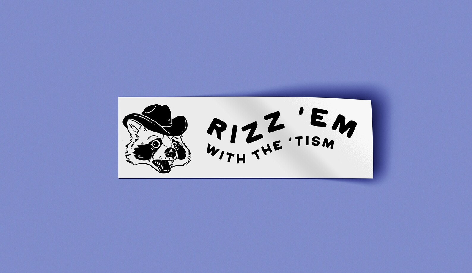 Rizz Em With the Tism Raccoon Cowboy Bumper Sticker - Etsy