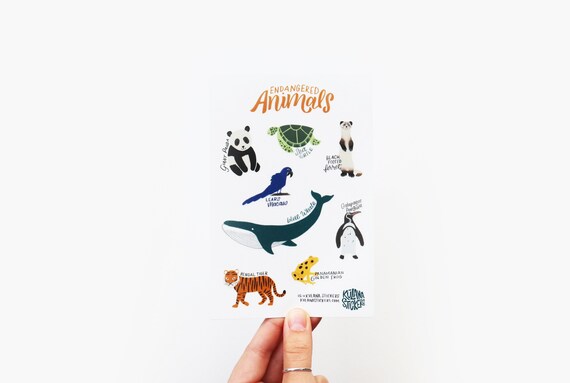 Endangered Animals Vinyl Sticker Sheet Mini | Etsy