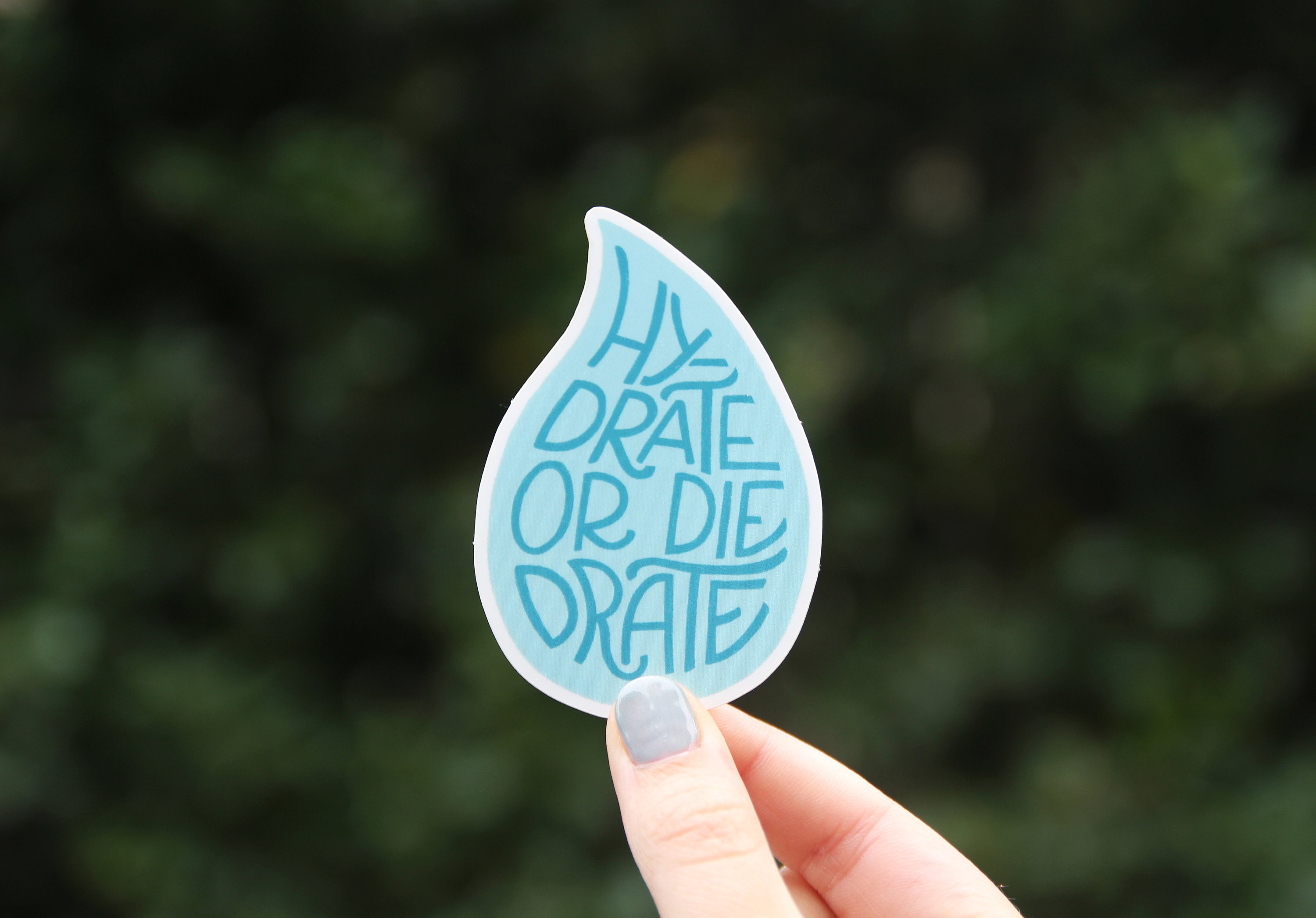 Hydrate or Die-drate Vinyl Sticker Water Hydrate Reminder | Etsy