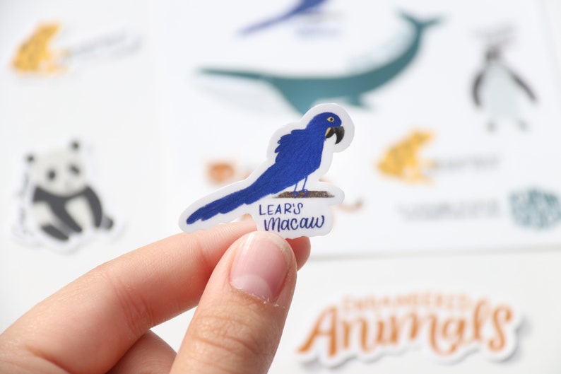 Endangered Animals Vinyl Sticker Sheet Mini | Etsy