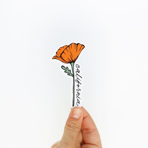 California Poppy Sticker Vinyl Sticker Flower Waterproof - Etsy