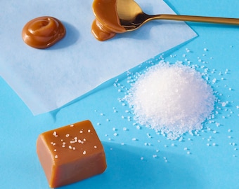Chocolate Covered Sea Salt Caramel Bites 11.4, Mini Indulgences ...