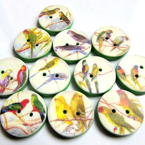 Bird Buttons - Australian Birds - Handmade Buttons - Australian Made ...