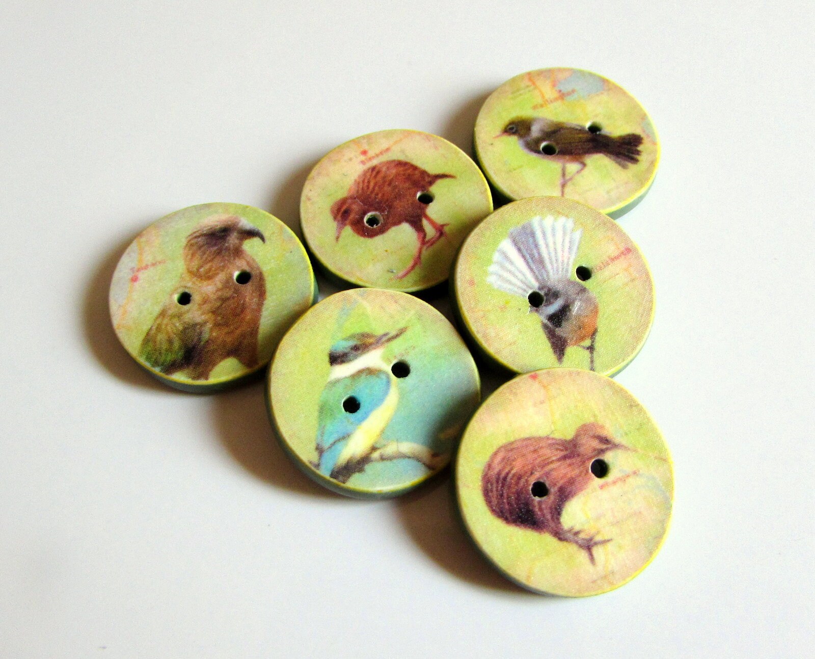 New Zealand Bird Buttons 19mm 22mm or 25mm 2/3 | Etsy