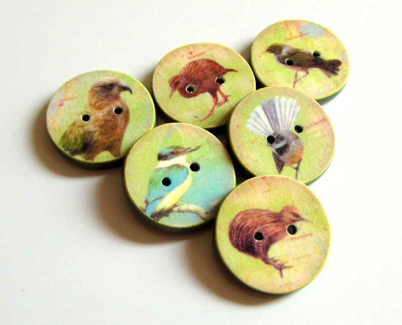 New Zealand Bird Buttons 19mm 22mm or 25mm 2/3 - Etsy