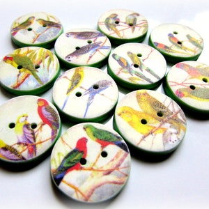 Bird Buttons Australian Birds Handmade Buttons - Etsy