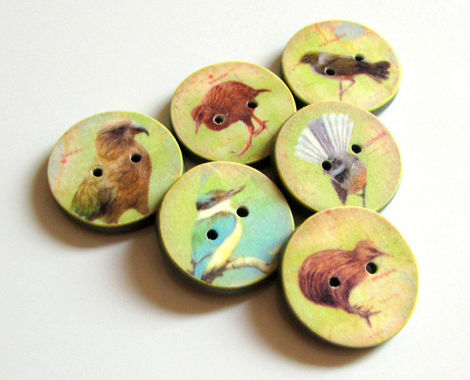 New Zealand Bird Buttons 19mm 22mm or 25mm 2/3 | Etsy