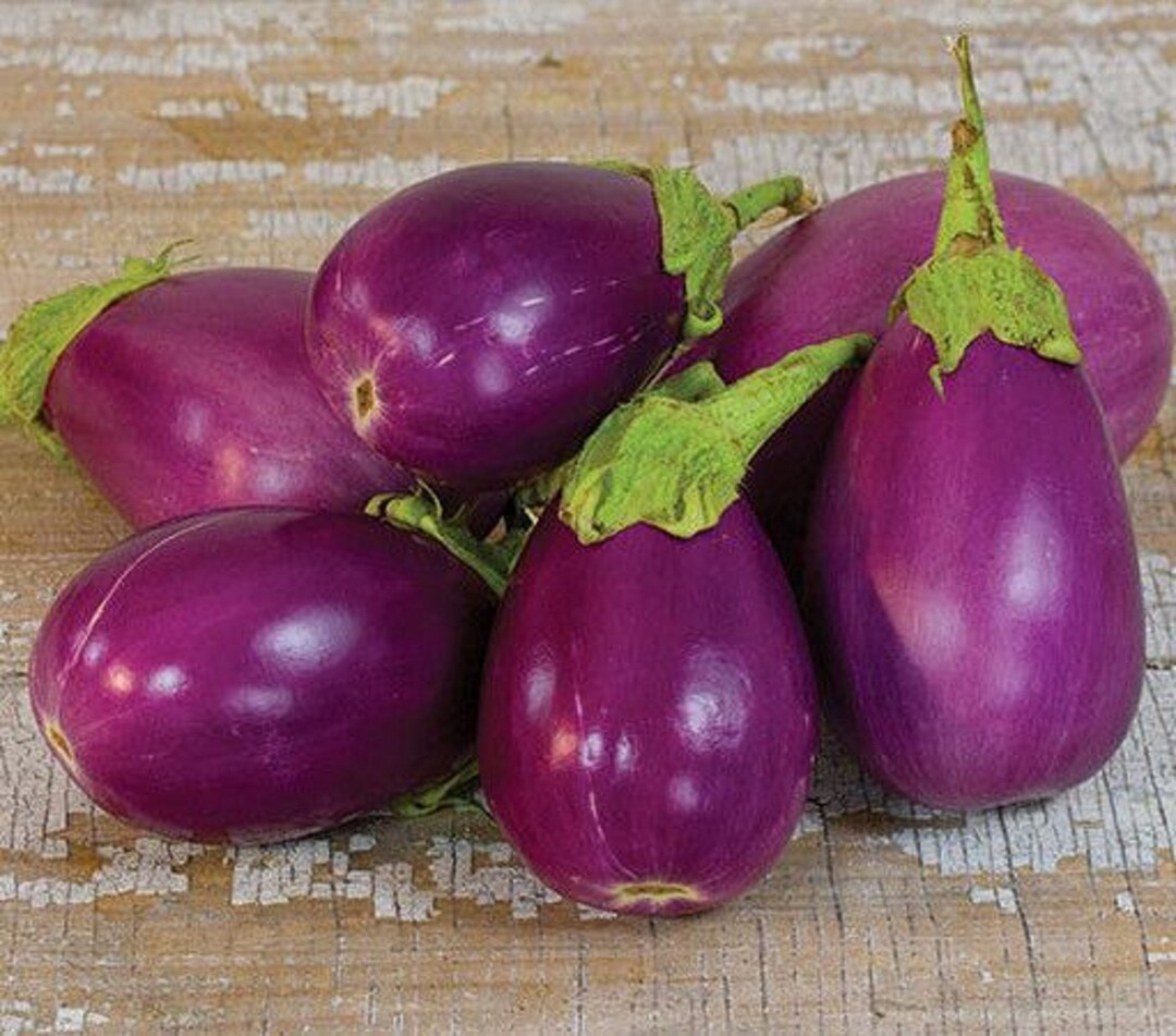 Rosita Eggplant Amazing Teardrop Pink Heirloom Eggplant 5 Rare Seeds - Etsy