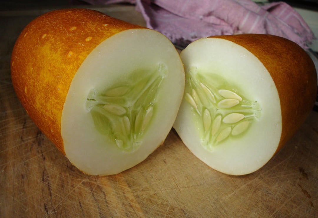 Poona Kheera Cucumis Sativus Special Cucumber 10 Fresh - Etsy