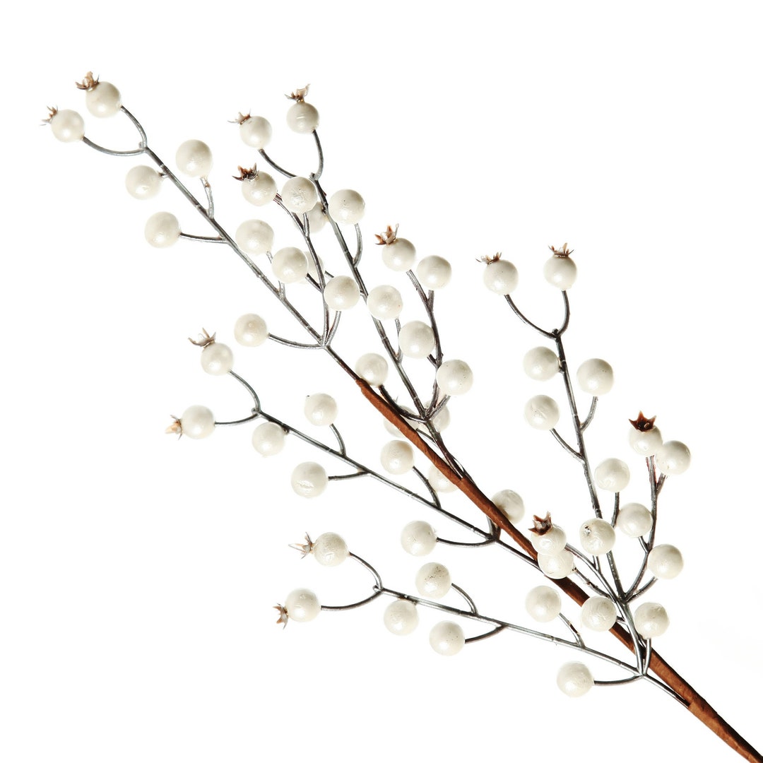 Pearl Berry Spray Twig - Etsy