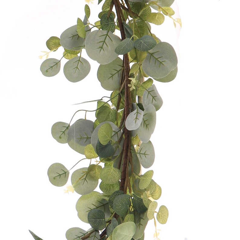 Eucalyptus Round Leaf Garland - 180cm - Etsy