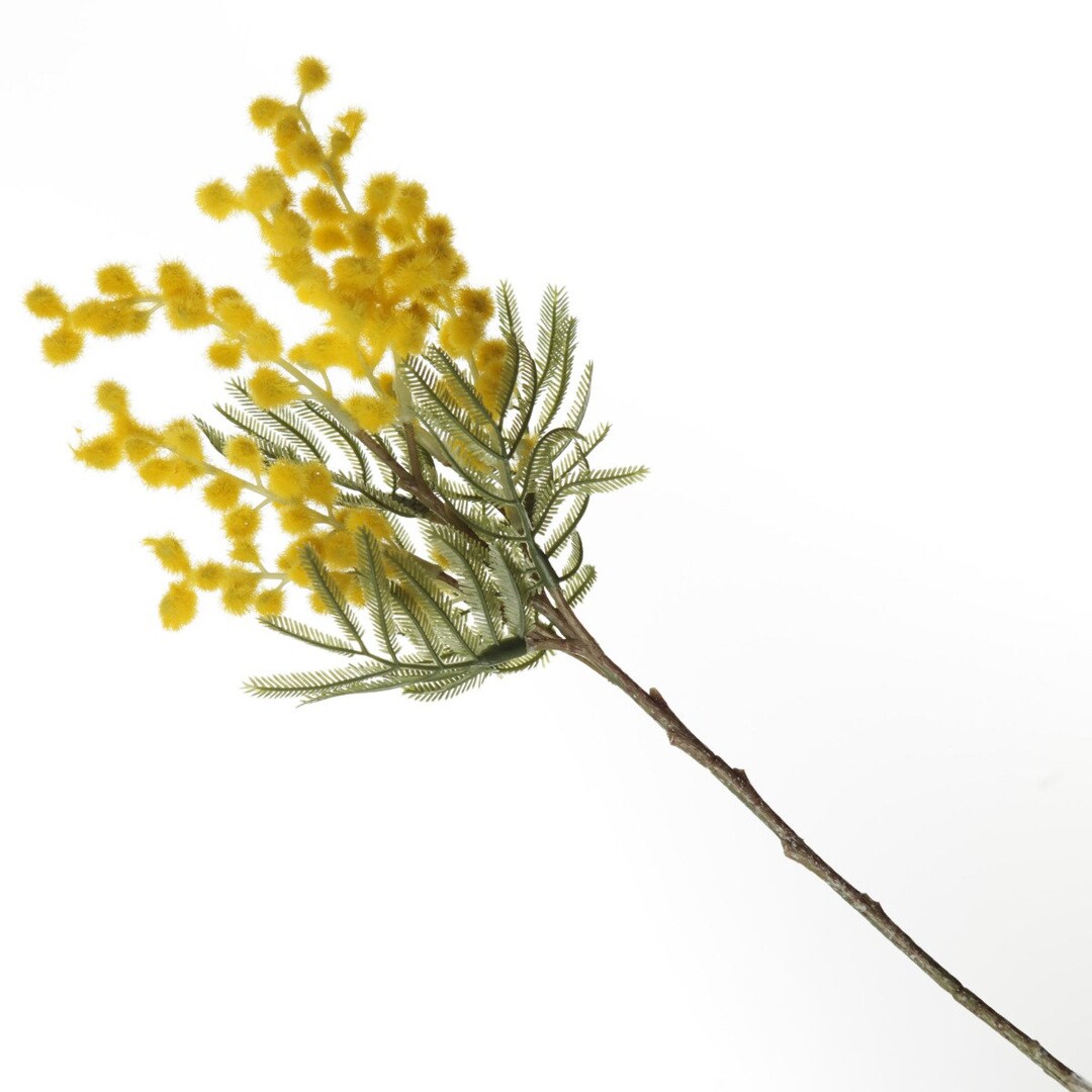 Buy Yellow Wattle Stem Spray Online in India - Etsy