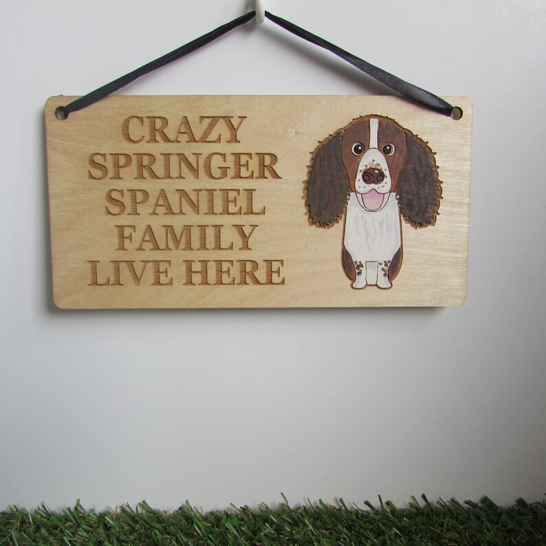 Crazy Springer Spaniel Family Wooden Sign | Etsy