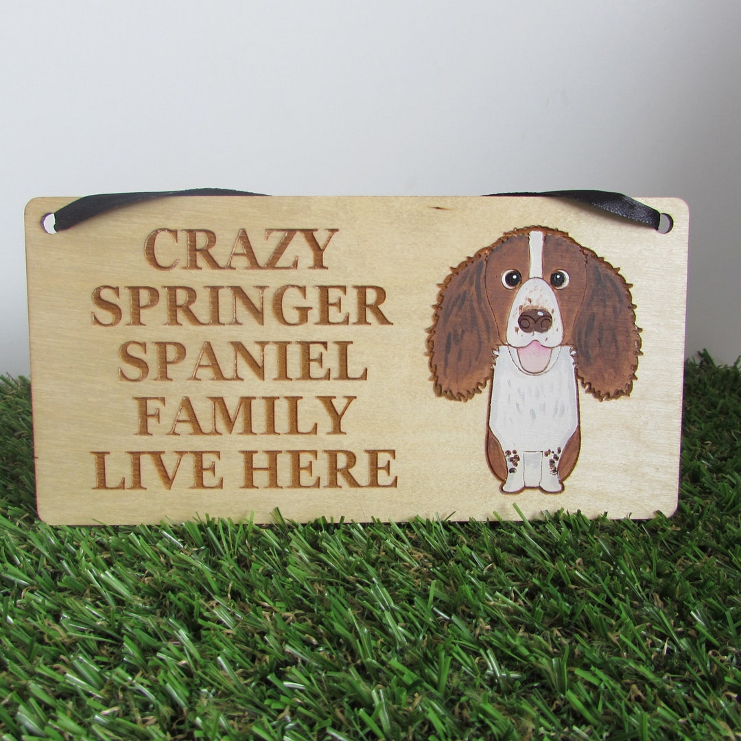 Crazy Springer Spaniel Family Wooden Sign, Dog Gift, Dog Sign, Dog ...