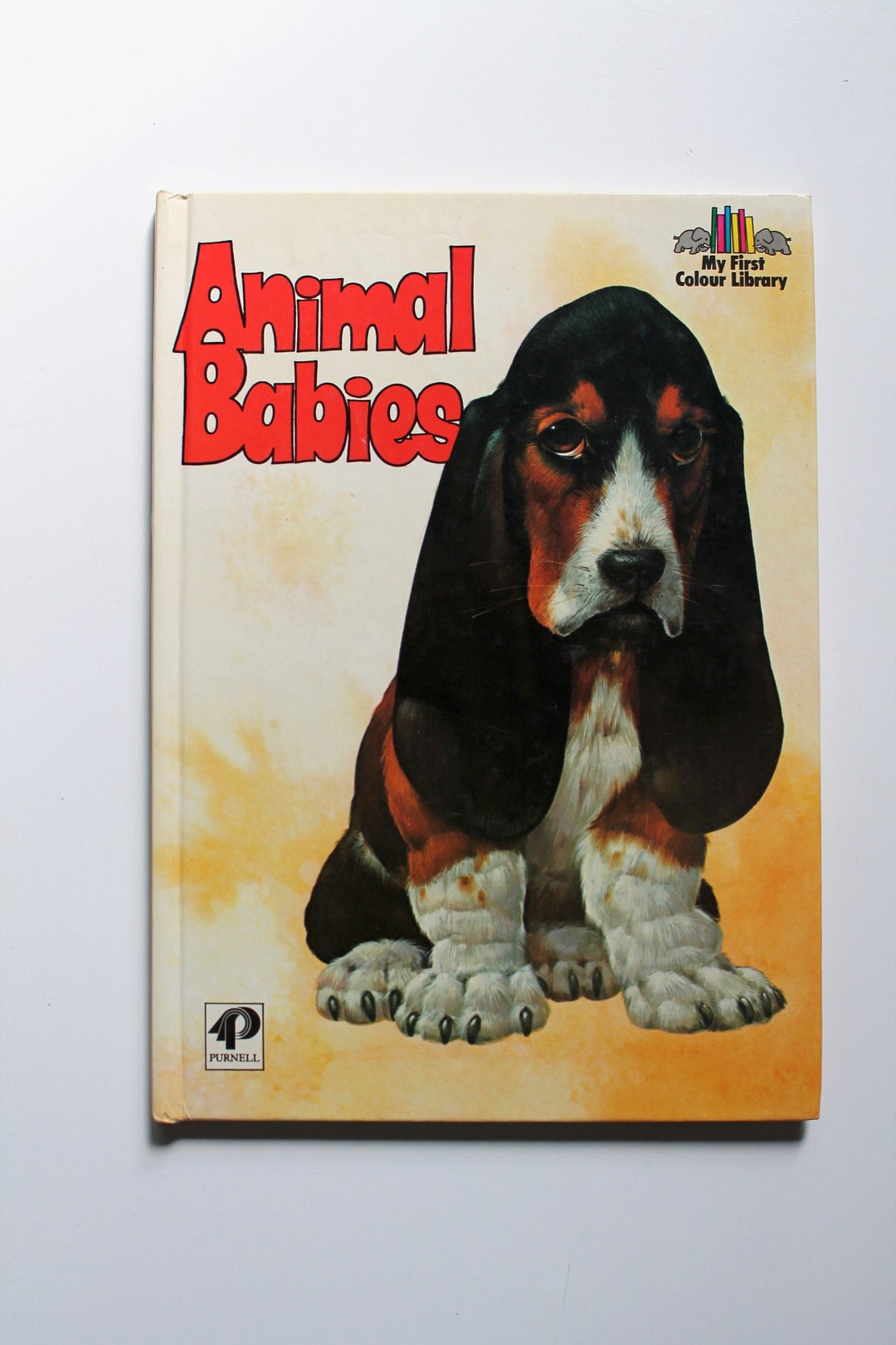 Animal Babies My First Colour Library Book 1982 RARE - Etsy