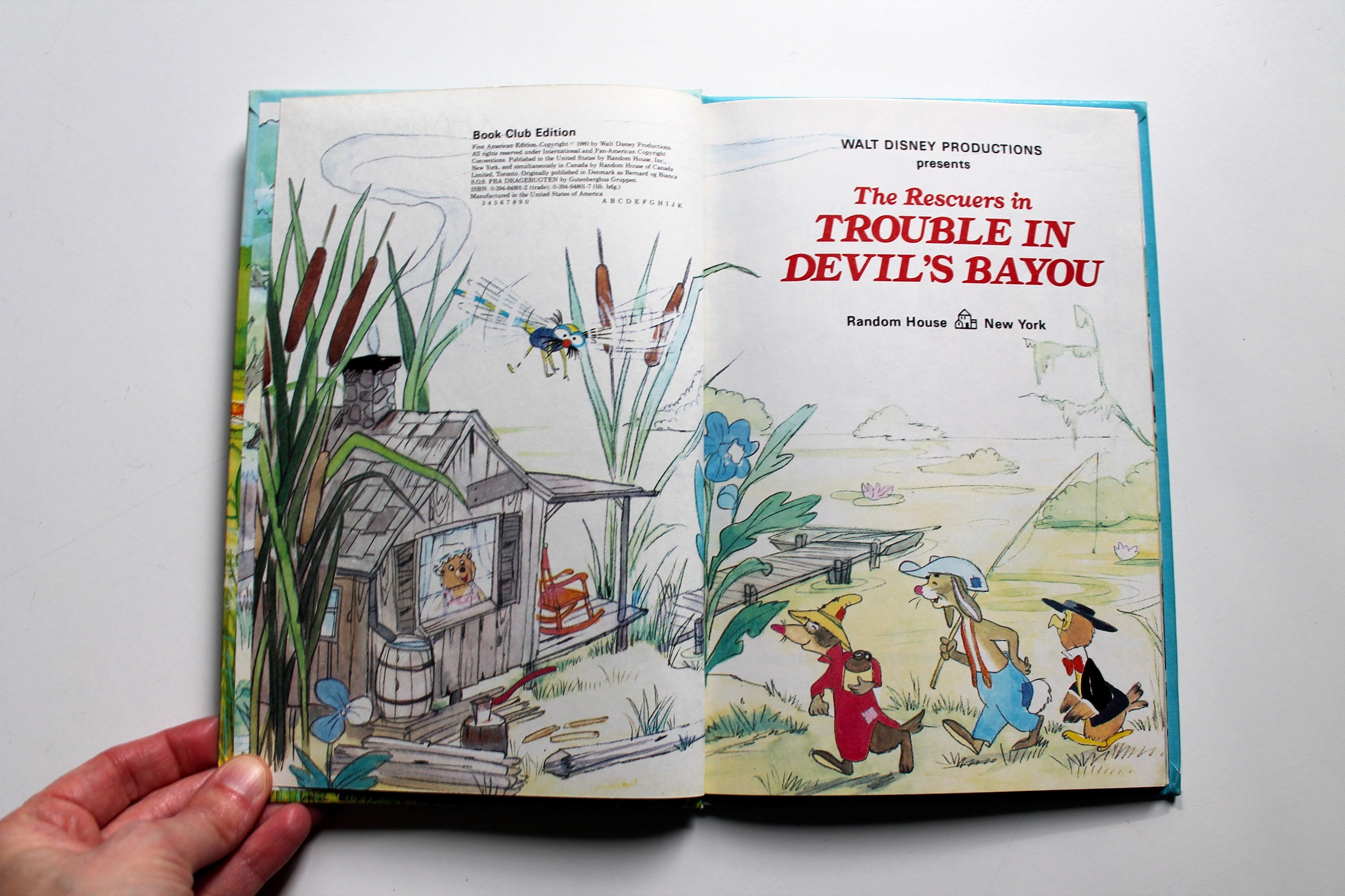 The Rescuers in the Trouble in Devil's Bayou 1980 - Etsy Canada