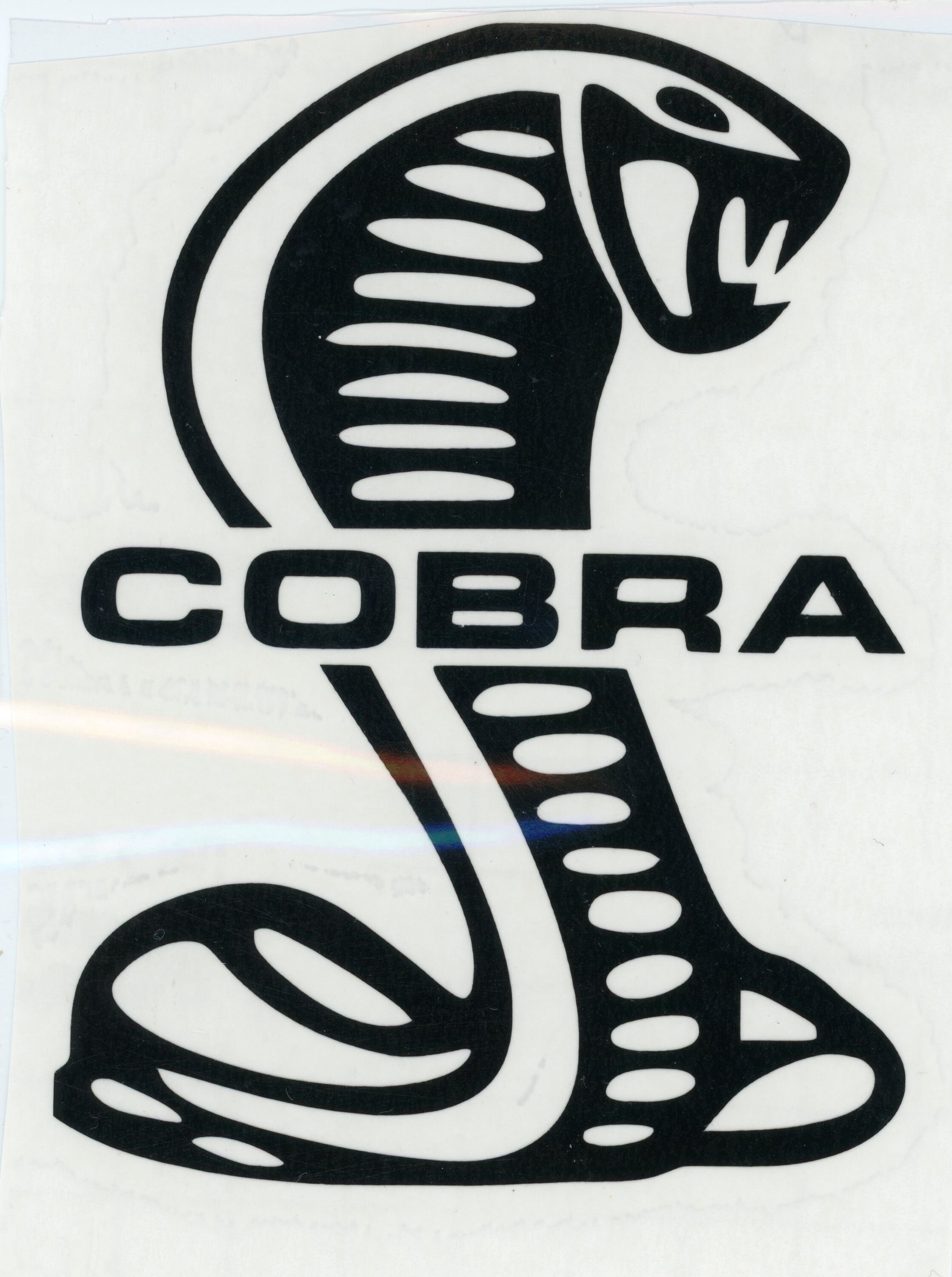 Cobra Snake Vinyl Decal - Etsy