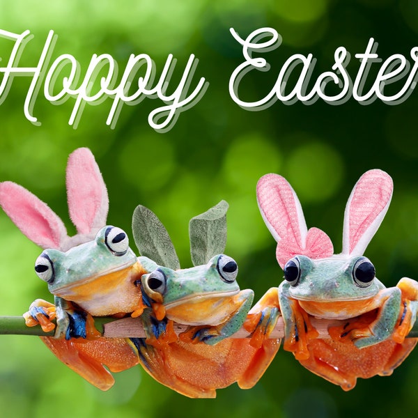 Frog With Bunny Ears - Etsy