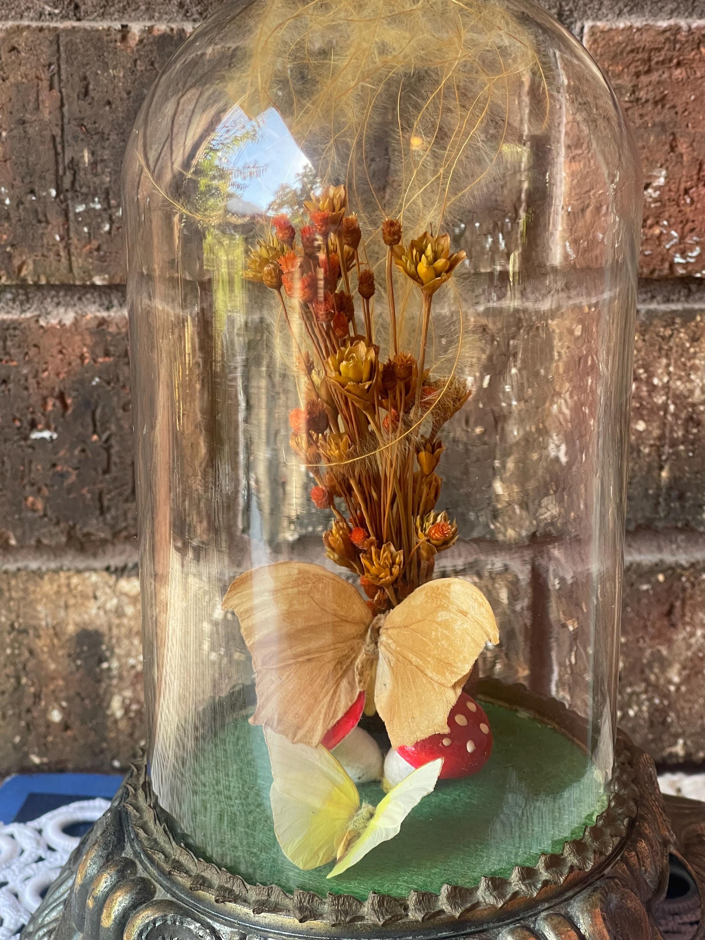 Vintage Mcm Glass Dome Diorama Butterfly Moth Mushroom Floral Display ...
