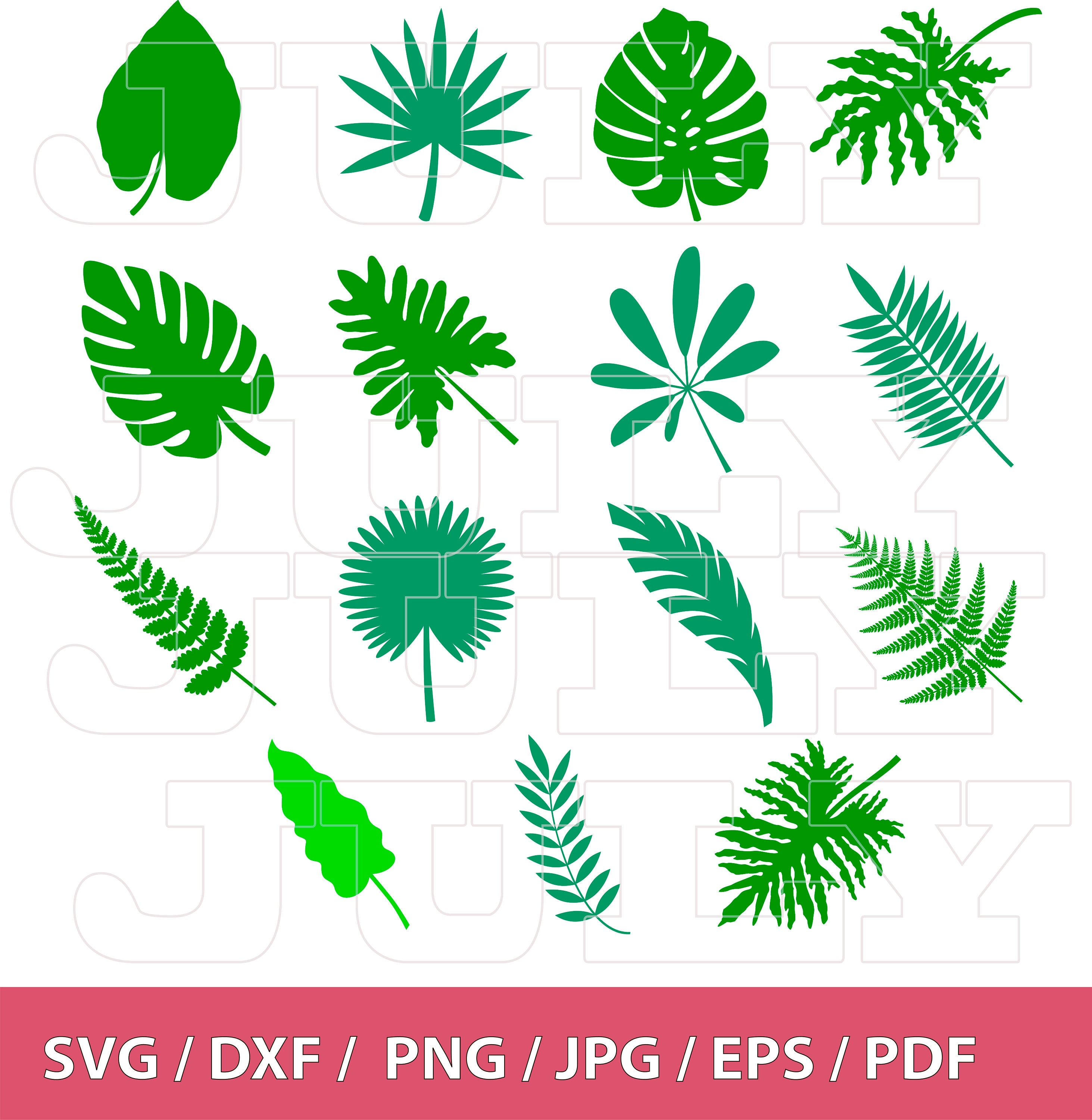 Hojas tropicales svg Hojas de silueta Hojas SVG corte | Etsy