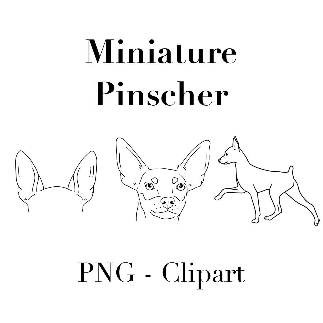 Hand-drawn Miniature Pinscher Line Drawing Pngs Set of 3 Instant ...