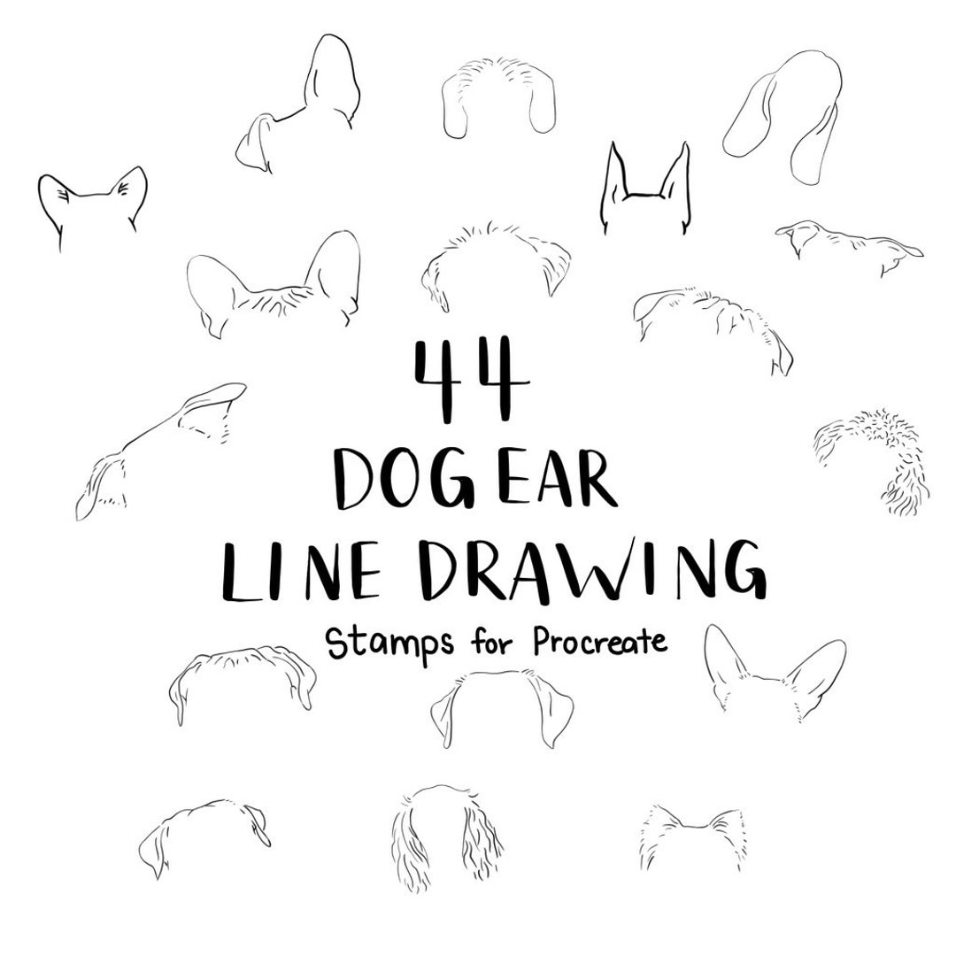 44 Dog Breed Line Drawing Clip Art and Stamps for Procreate - Etsy
