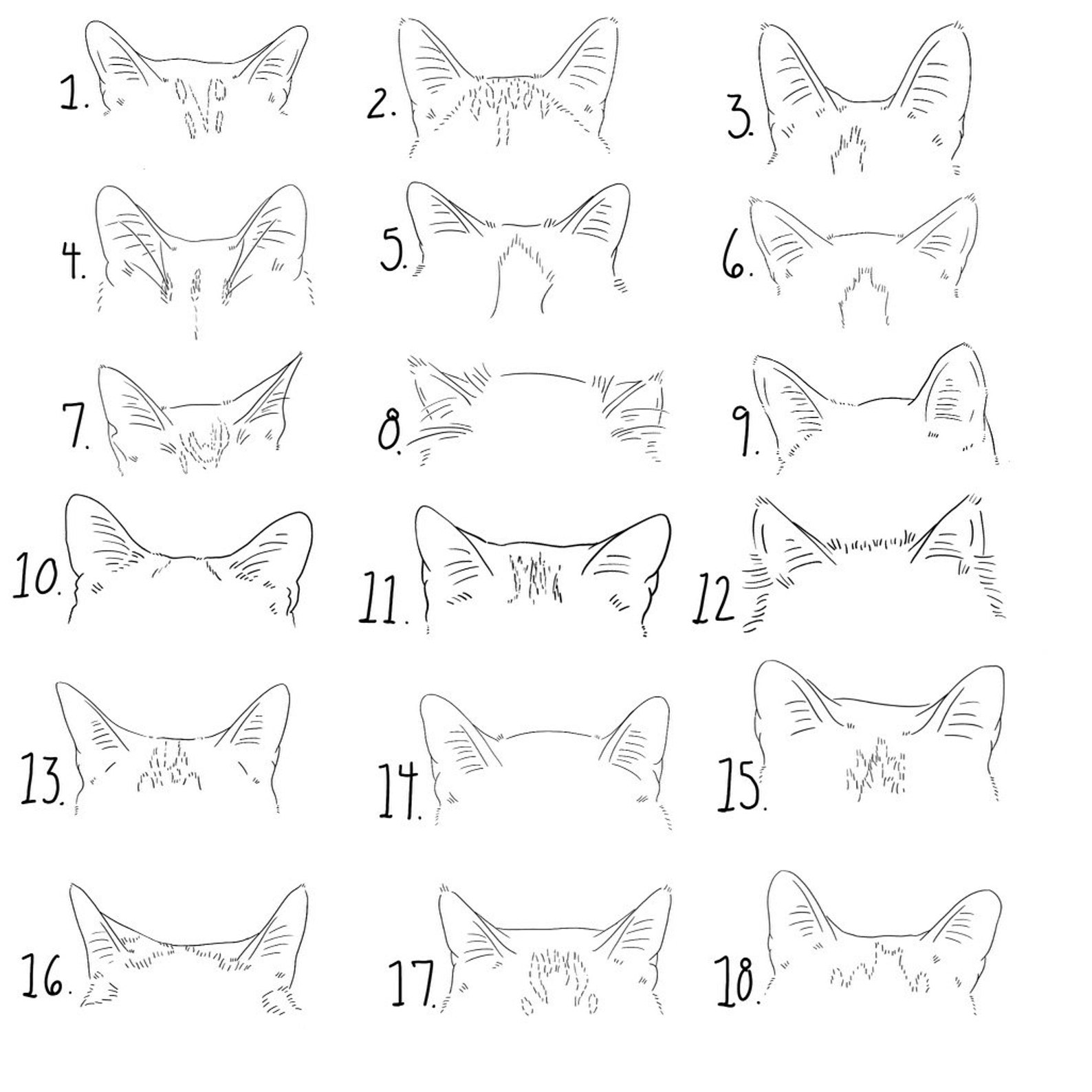 18 Cat Ear Line Drawing Clip Art and Stamps for Procreate - Etsy