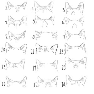18 Cat Ear Line Drawing Clip Art and Stamps for Procreate - Etsy