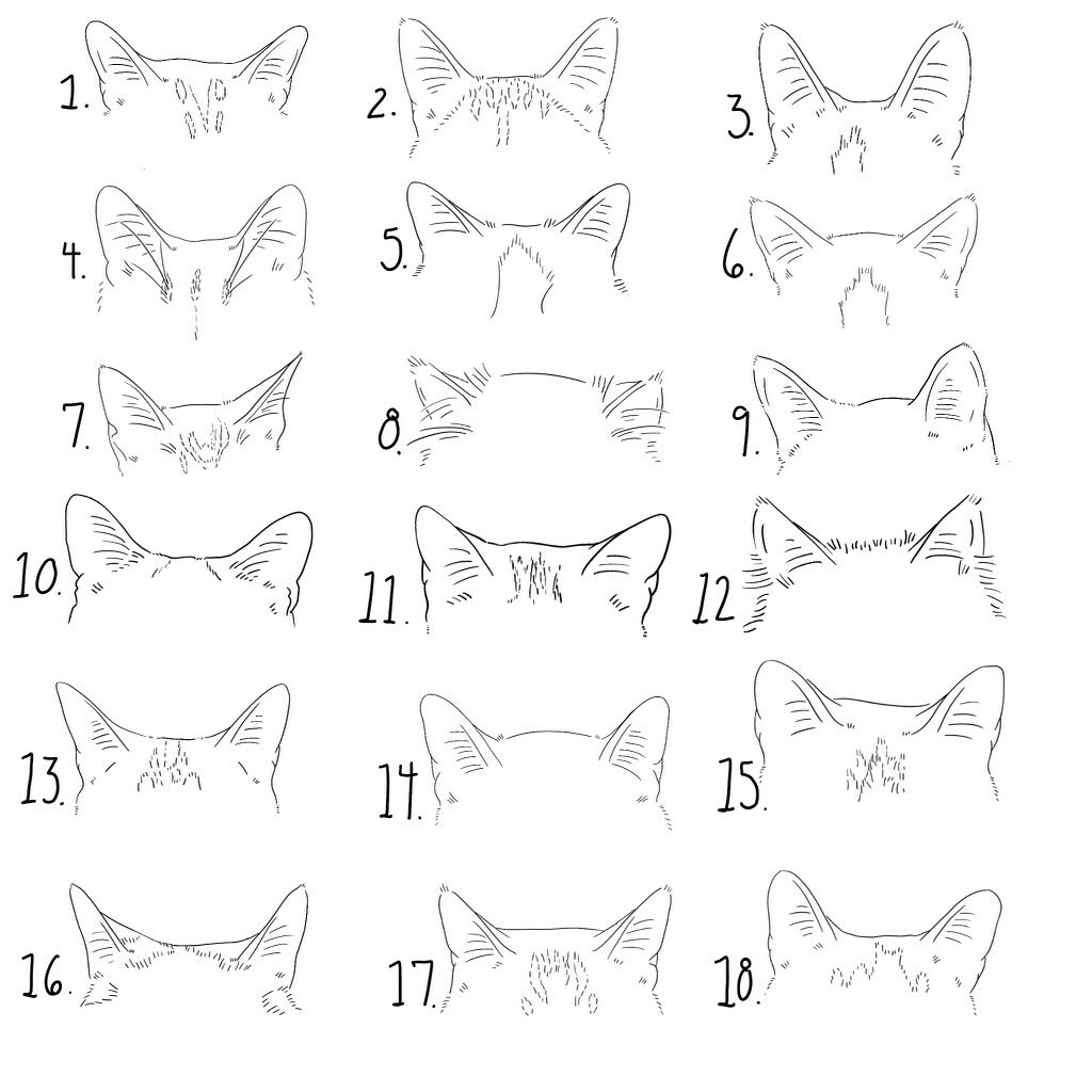 18 Cat Ear Line Drawing Clip Art and Stamps for Procreate | Etsy Canada