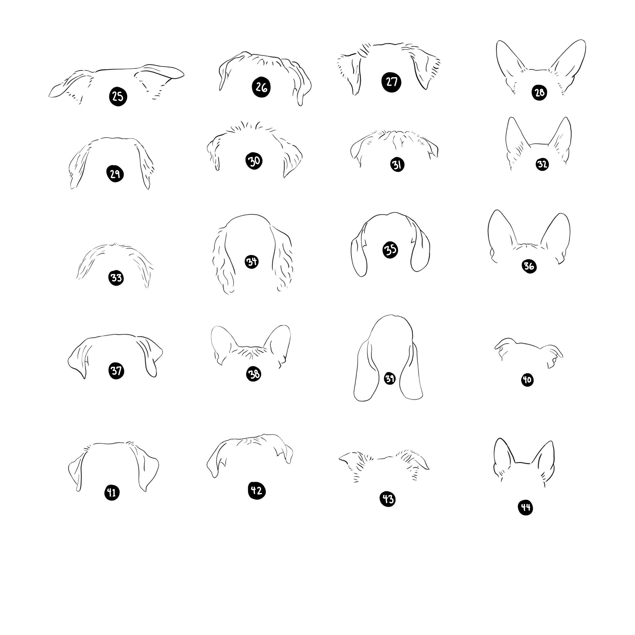 44 Dog Breed Line Drawing Clip Art and Stamps for Procreate | Etsy
