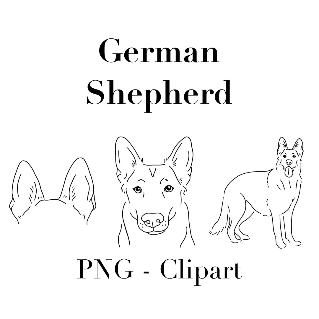 Hand-drawn German Shepherd Line Drawing Pngs Set of 3 Instant Download ...