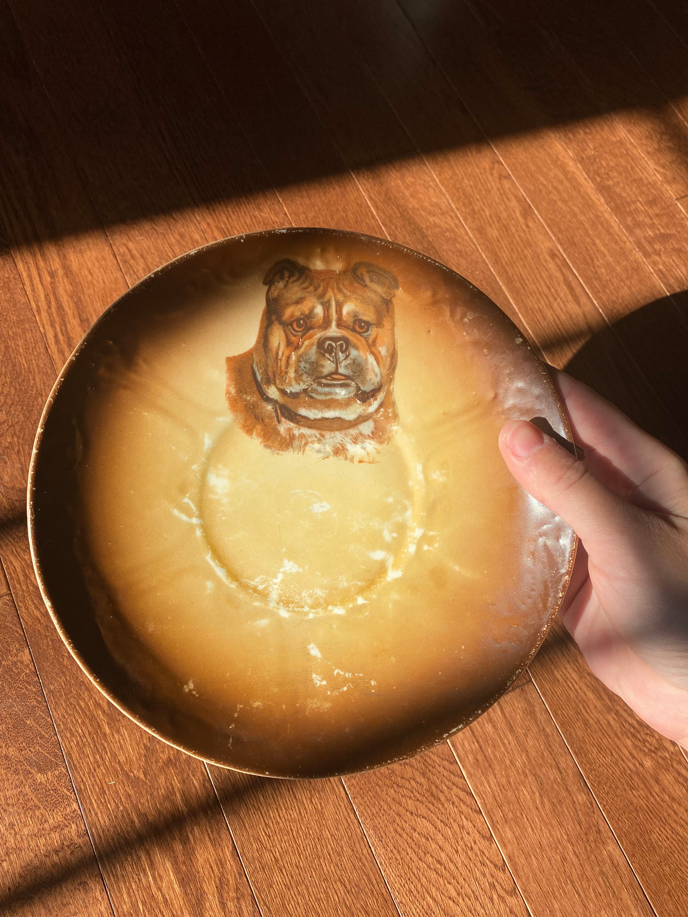 Bull Dog Plate by Taylor Smith Taylor, Vintage, TST, Bull Dog, Plate - Etsy
