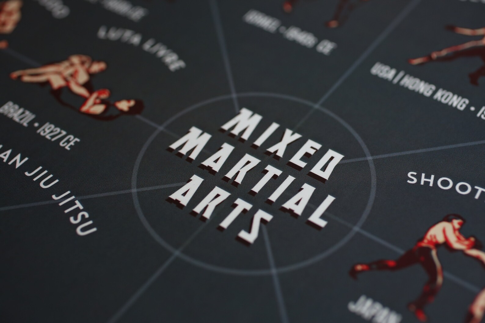MMA Styles Infographic Art Print: Martial Arts Guide - Etsy