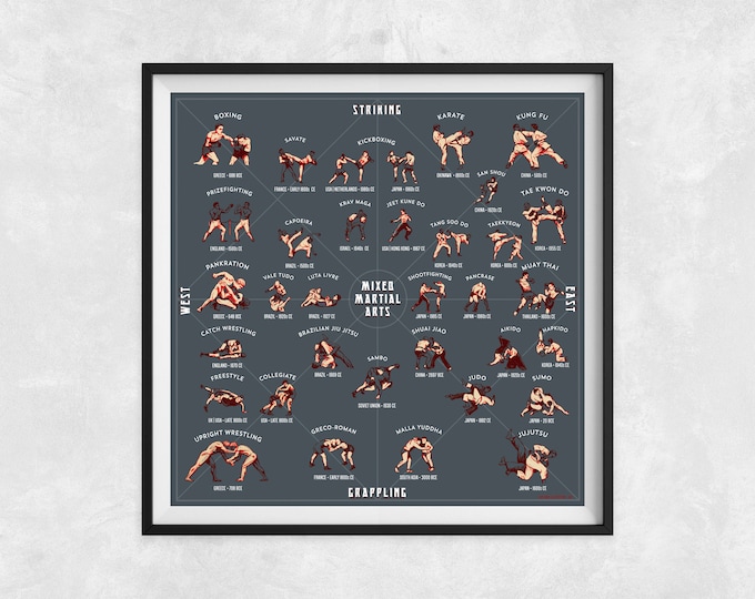 Mixed Martial Arts (dark Blue): A Guide to the Major Styles of MMA ...