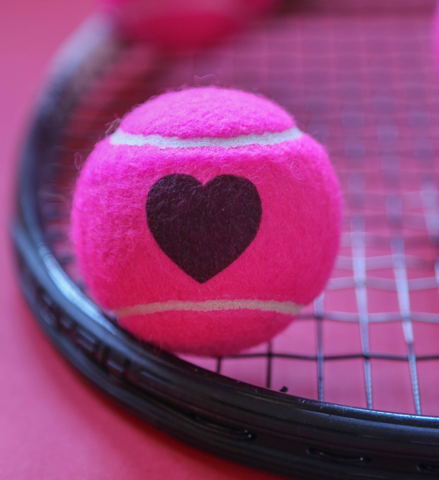 I Love You Heart Tennis Balls Pre-Printed with a Heart Not | Etsy