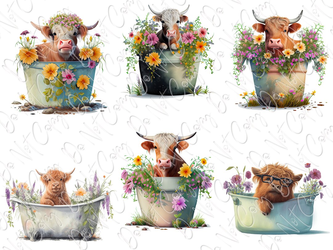 Highland Cow, SUBLIMATION TRANSFER, Sublimate, Ready to Press Transfer ...
