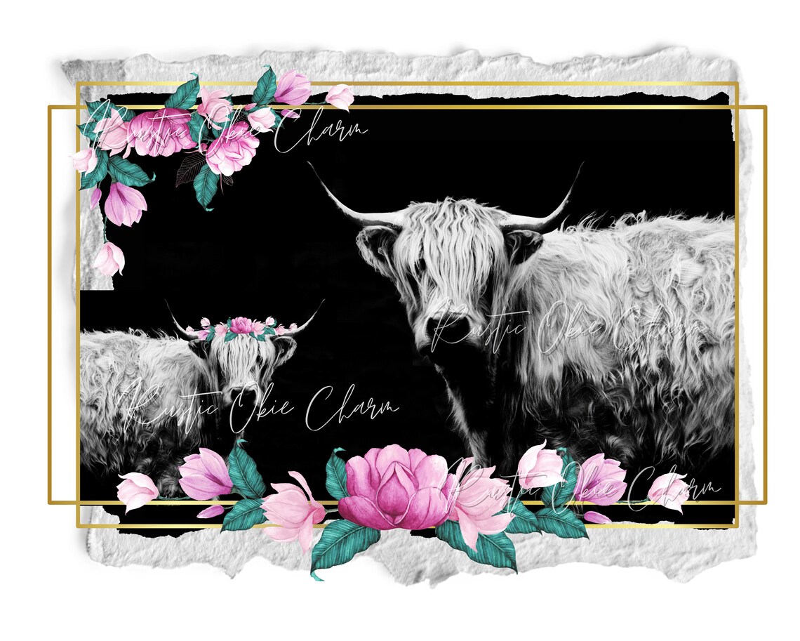 Highland Cow Png DIGITAL DOWNLOAD Country Png Western Png | Etsy