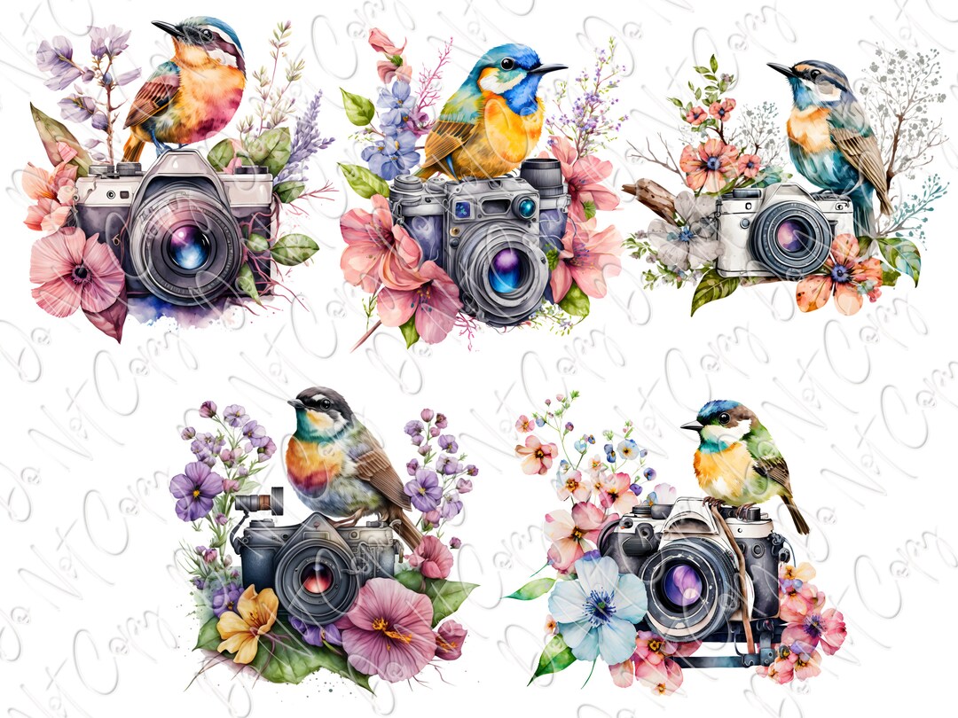 Birds, SUBLIMATION TRANSFER, Ready to Press Transfer, Camera, Boho ...