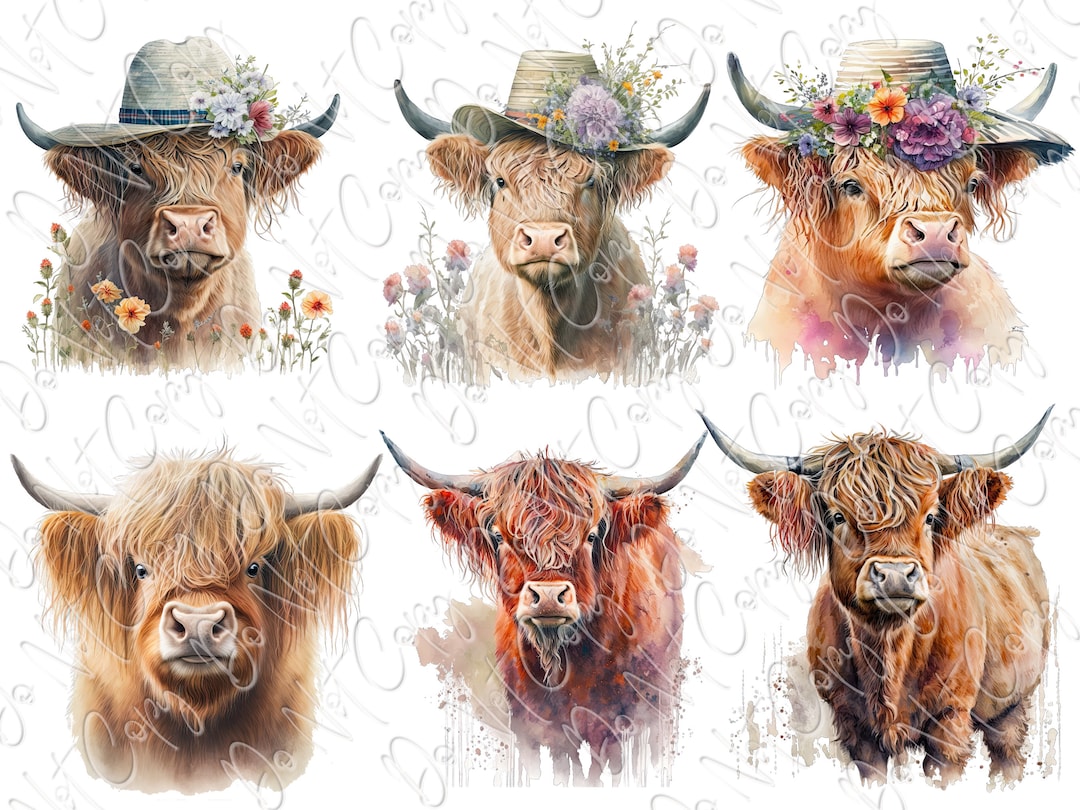 Highland Cow, SUBLIMATION TRANSFER, Sublimate, Ready to Press Transfer ...