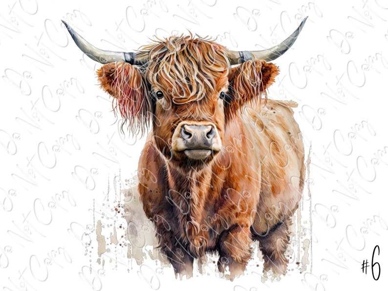 Highland Cow SUBLIMATION TRANSFER Sublimate Ready to Press - Etsy