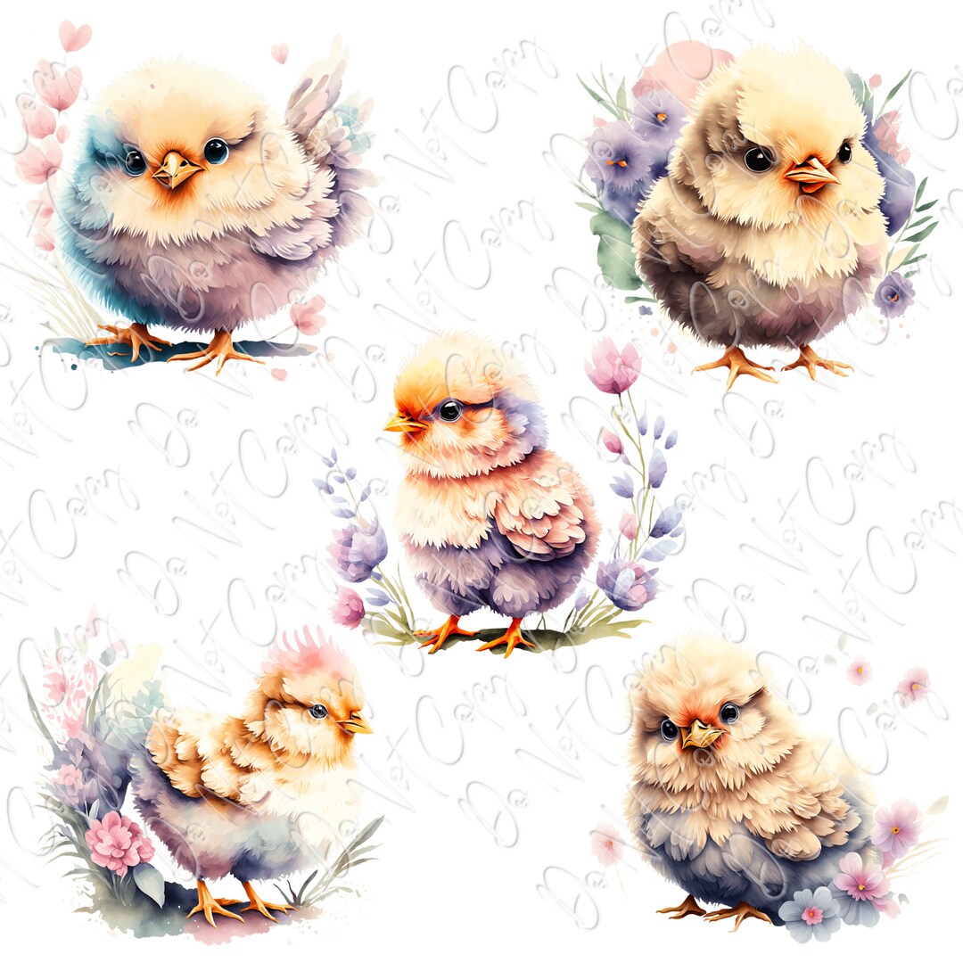 Chicks, SUBLIMATION TRANSFER, Ready to Press Transfer, Bird, Cute ...