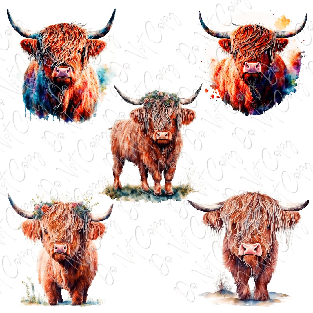 Highland Cow, SUBLIMATION TRANSFER, Sublimate, Ready to Press Transfer ...