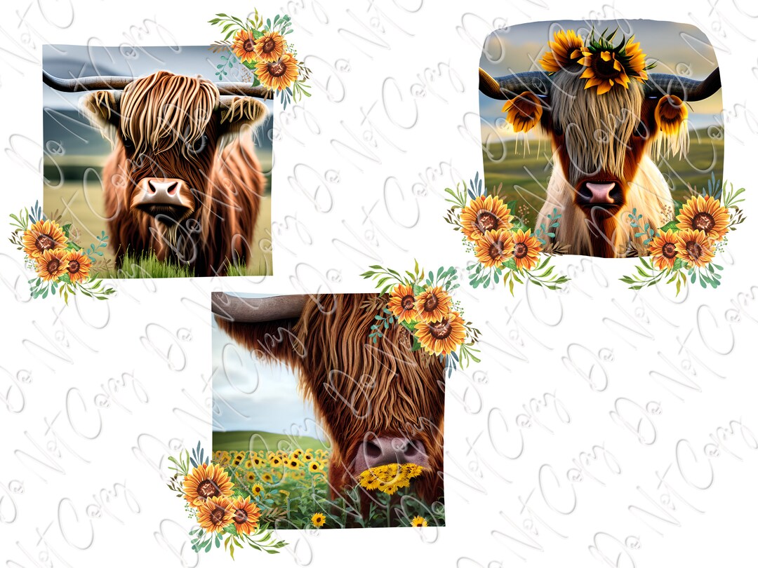 Highland Cow, SUBLIMATION TRANSFER, Sublimate, Ready to Press Transfer ...